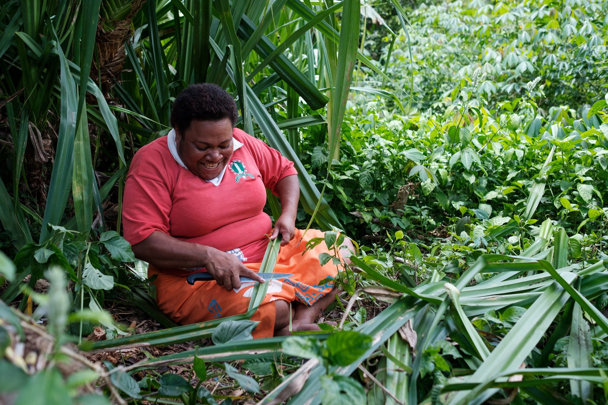 Natural "Voivoi" Pandanus Leaves – Rise Beyond The Reef
